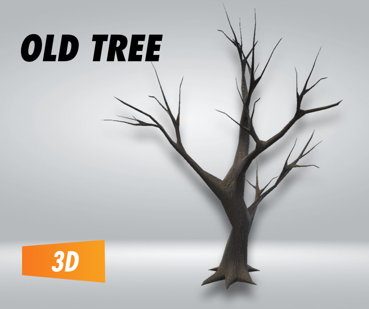 Old Tree 01 – Filebase for Unity