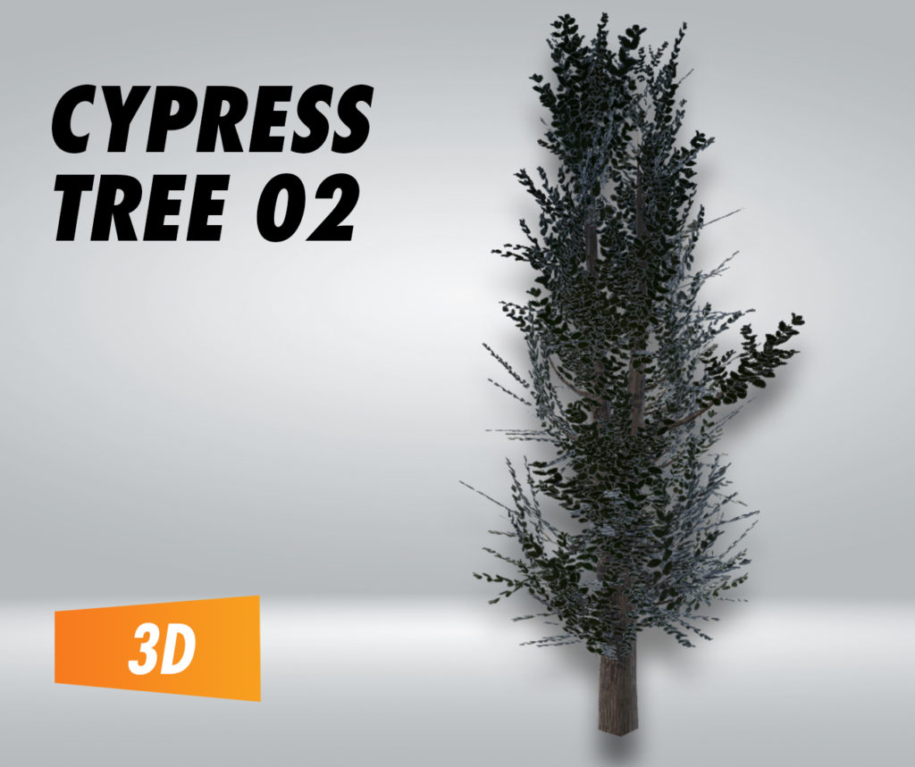 Cypress Tree 02 – Filebase for Unity