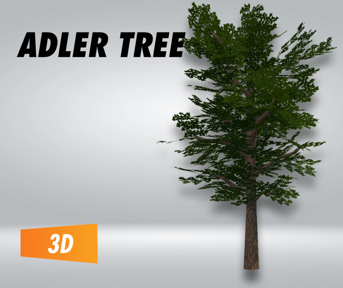 Adler Tree – Filebase for Unity