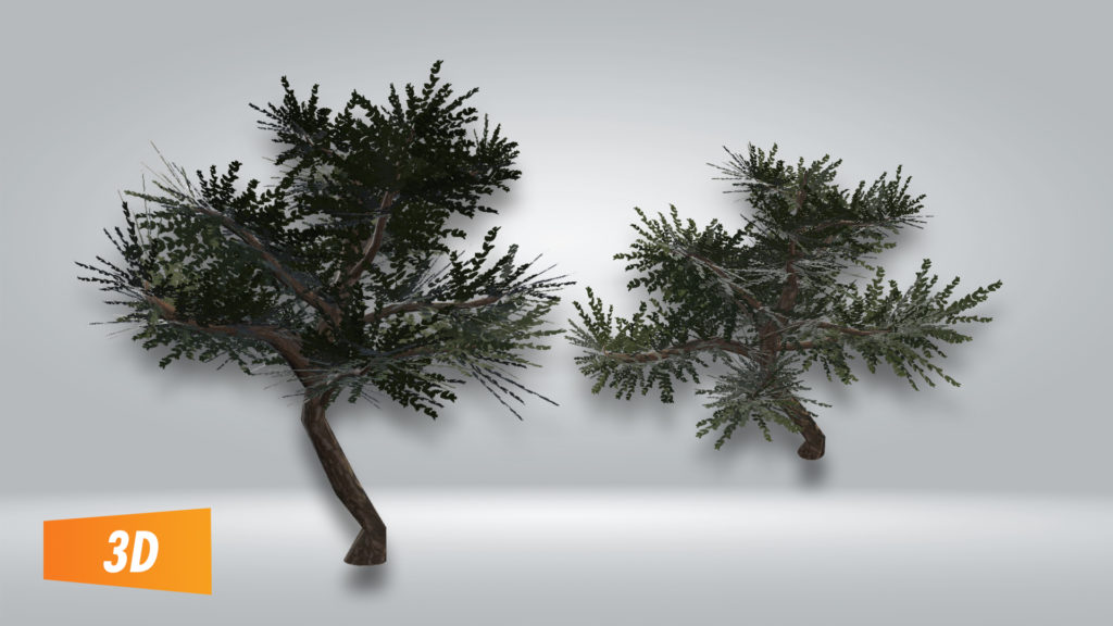 Cypress Tree 01 – Filebase for Unity