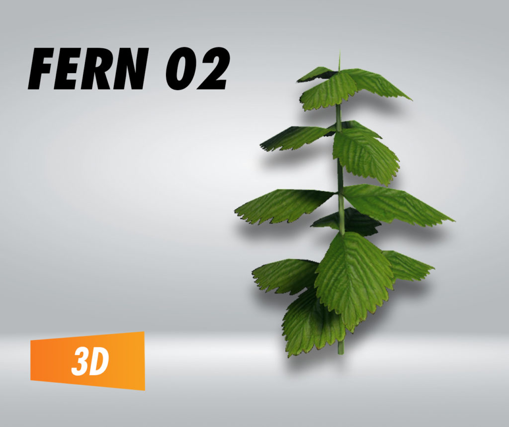 Fern 02 – Filebase for Unity