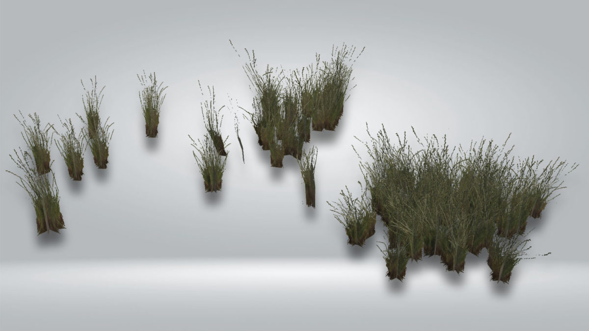 Grass 01 – Filebase for Unity