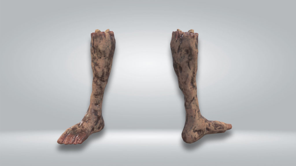 Limbs Leg 02 – Filebase for Unity