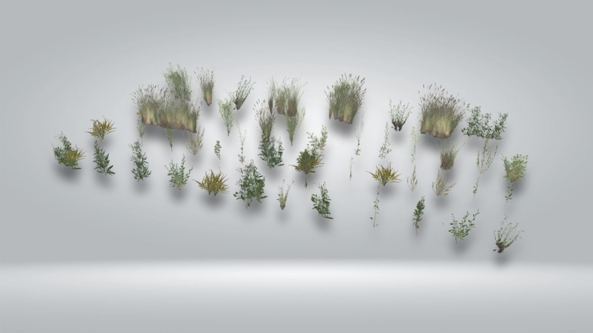 Plants 01-60 – Filebase for Unity