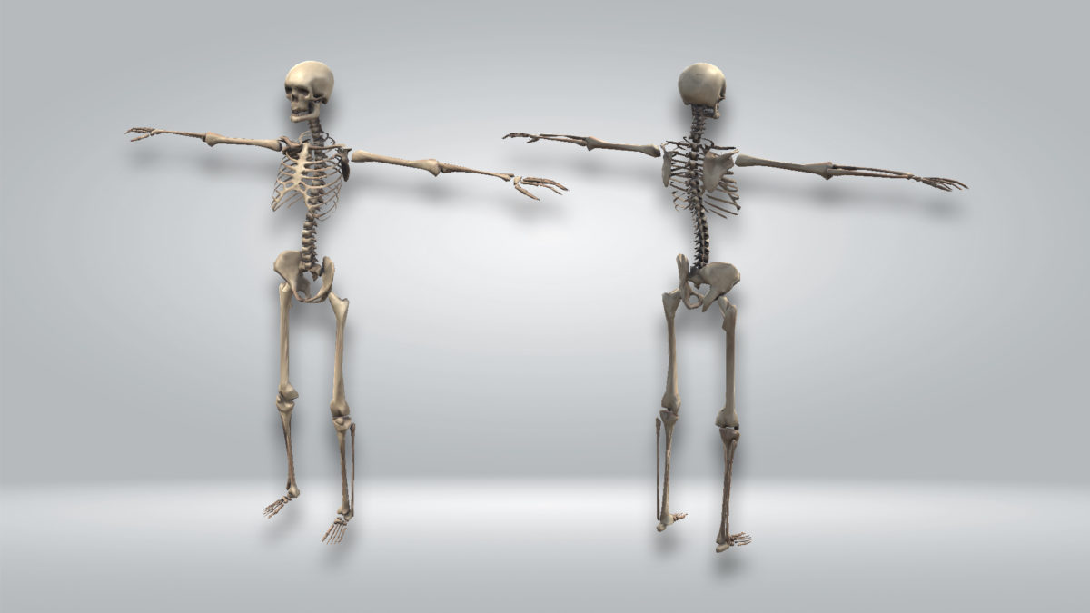 Skeleton 01 – Filebase for Unity