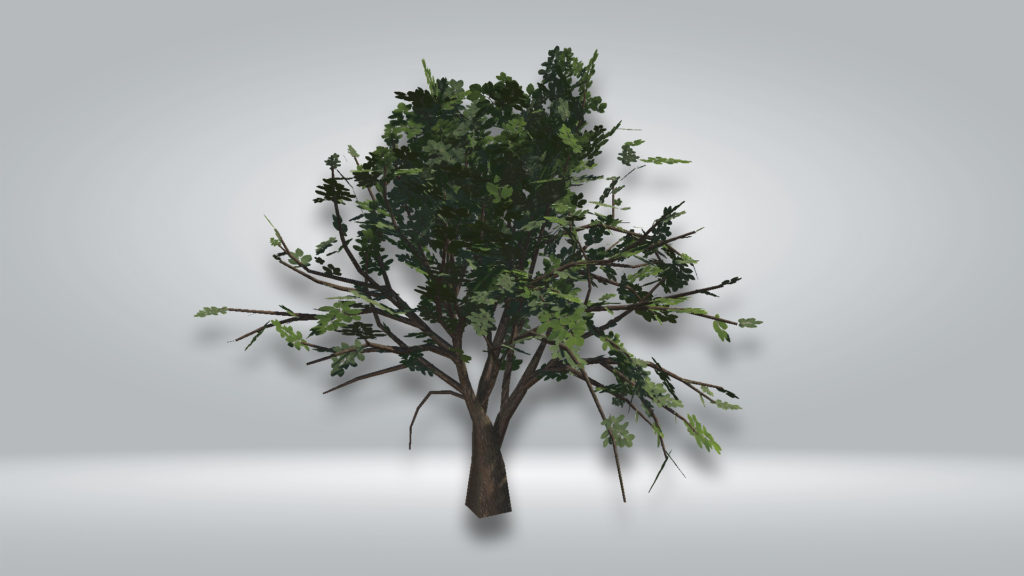 Tree Oak 01 – Filebase for Unity