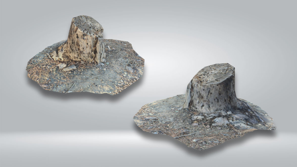 Tree Stump 02 – Filebase for Unity