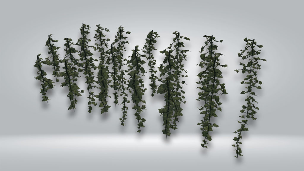 Vines Hanging 01-19 – Filebase for Unity