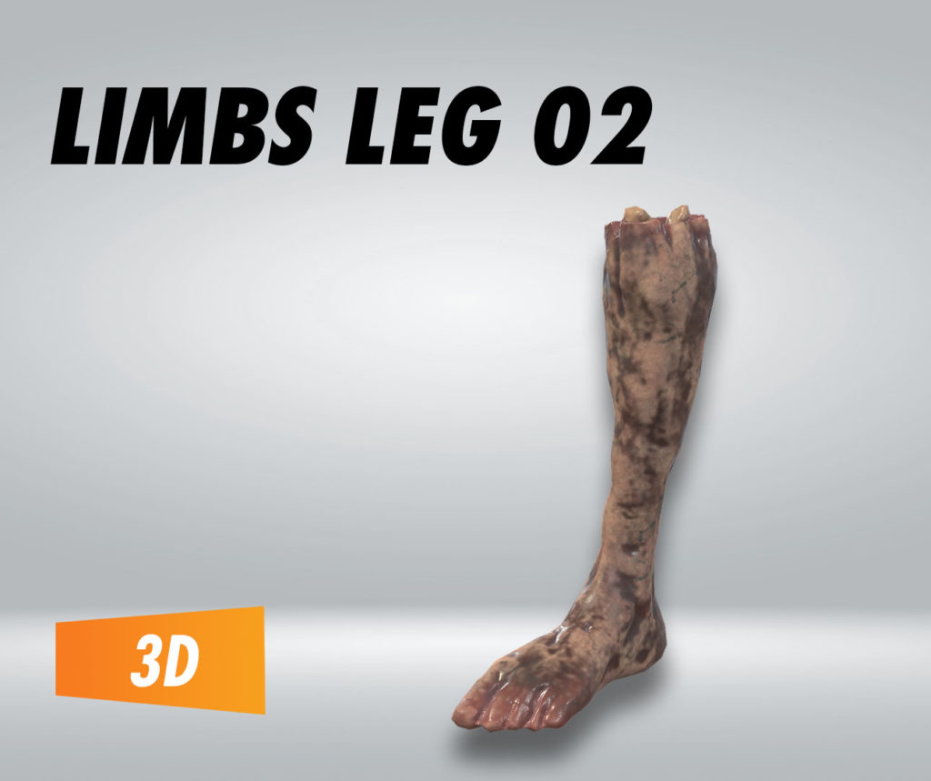 Limbs Leg 02 – Filebase for Unity