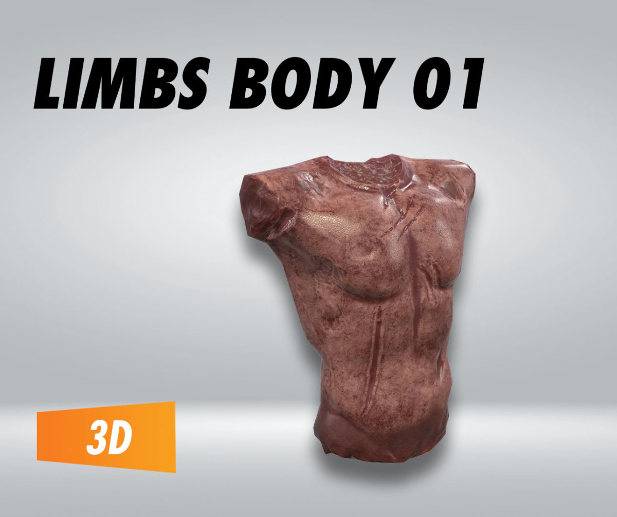 Limb Body 01 – Filebase for Unity