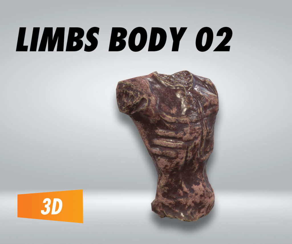 Limbs Body 02 – Filebase for Unity