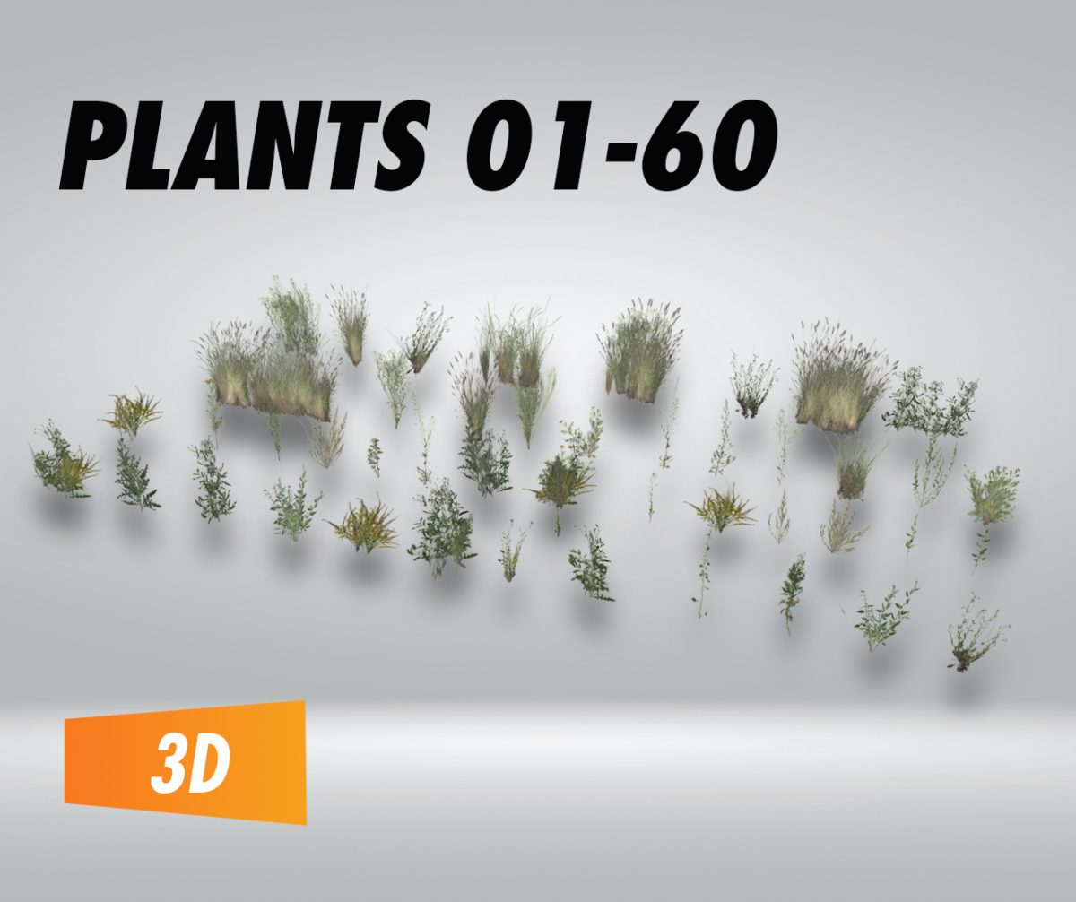 Plants 01-60 – Filebase for Unity