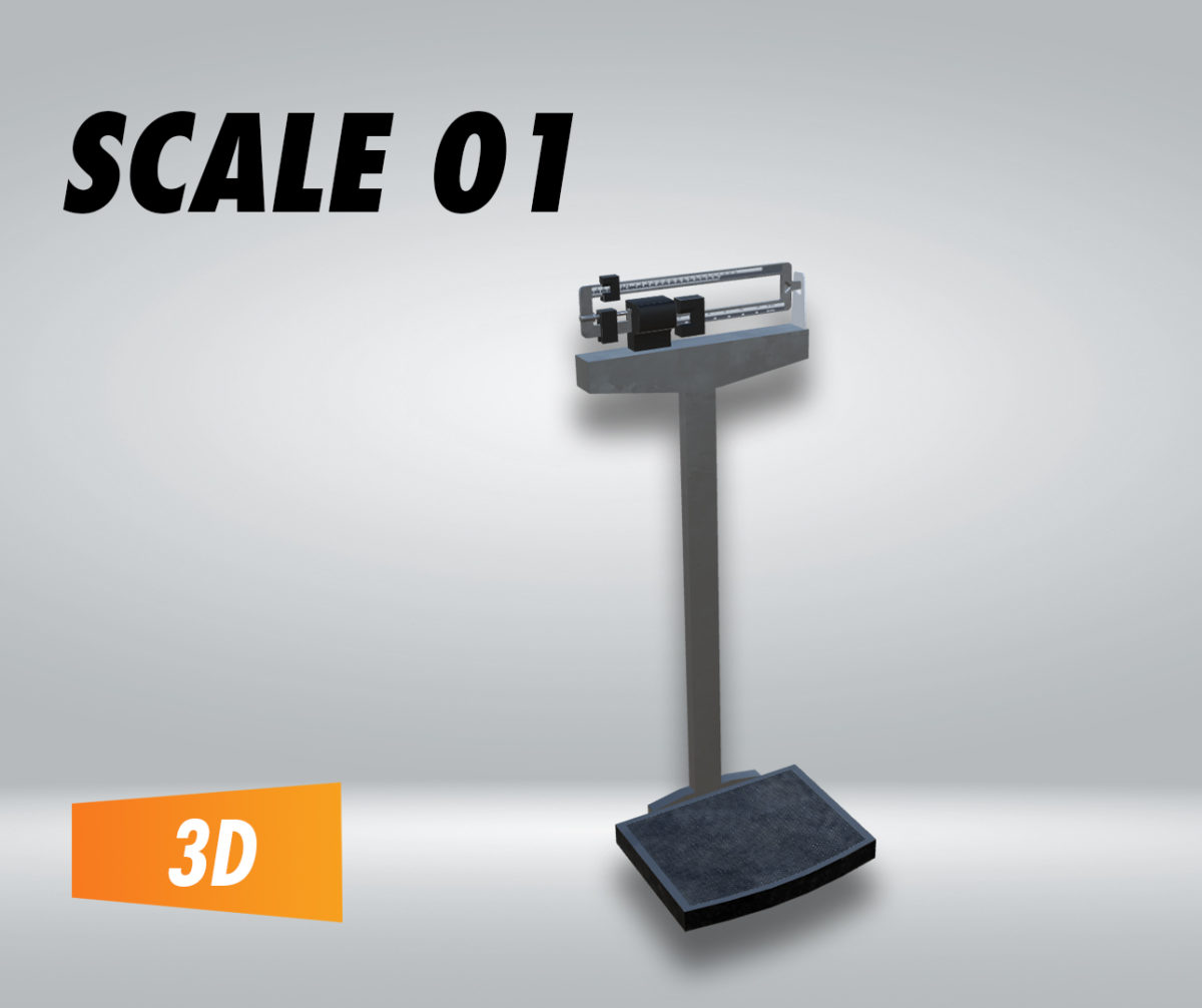 Scale 01 – Filebase for Unity