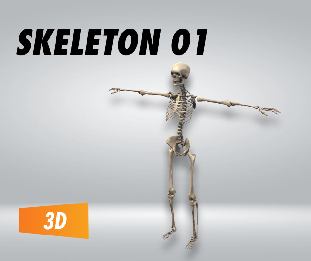 Skeleton 01 – Filebase for Unity