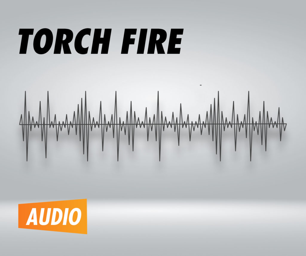 Torch Fire – Filebase for Unity