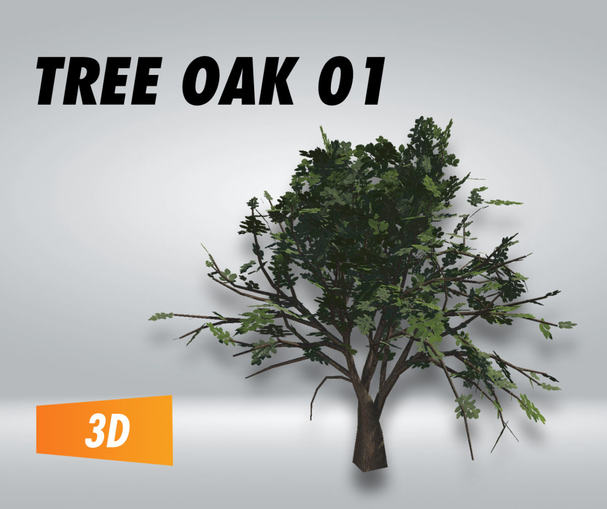 Tree Oak 01 – Filebase for Unity