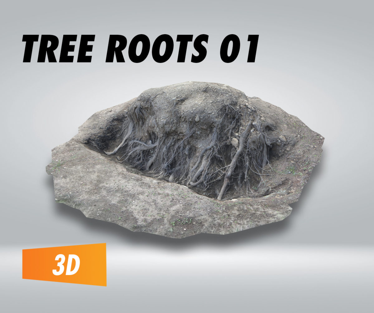 Tree Roots 01 – Filebase for Unity