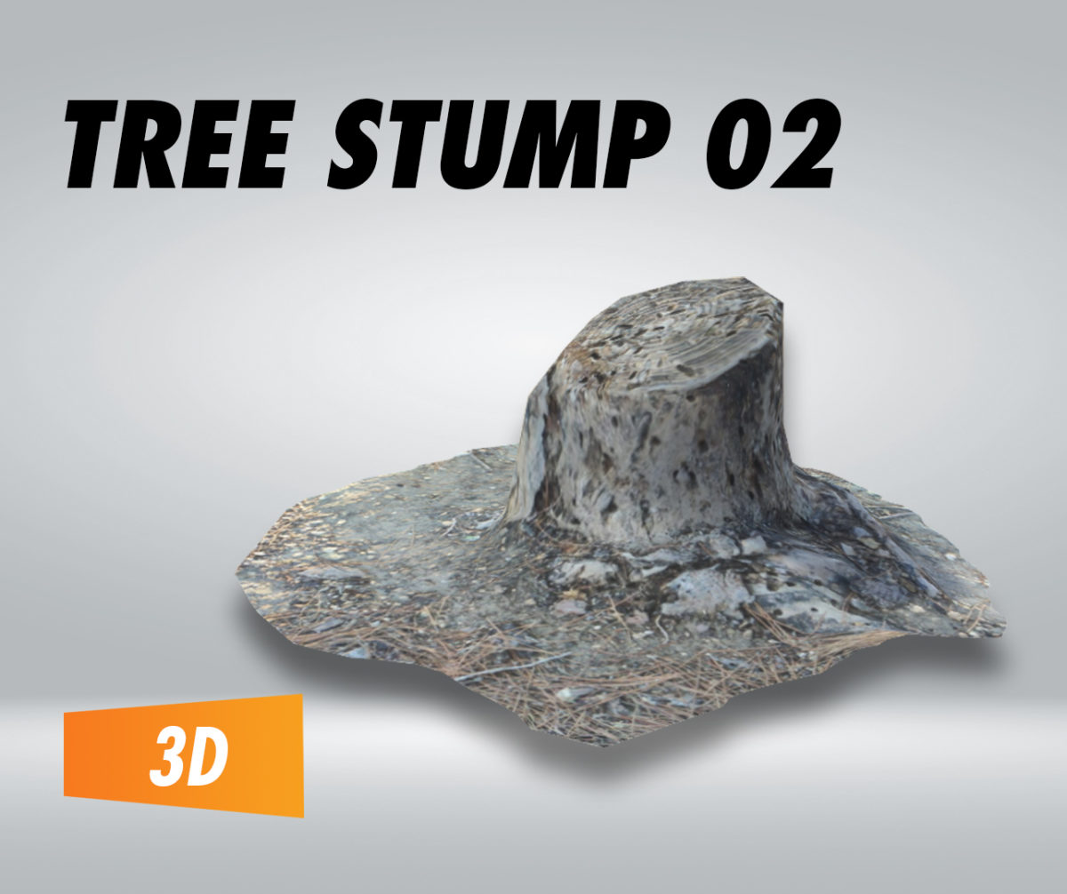Tree Stump 02 – Filebase for Unity