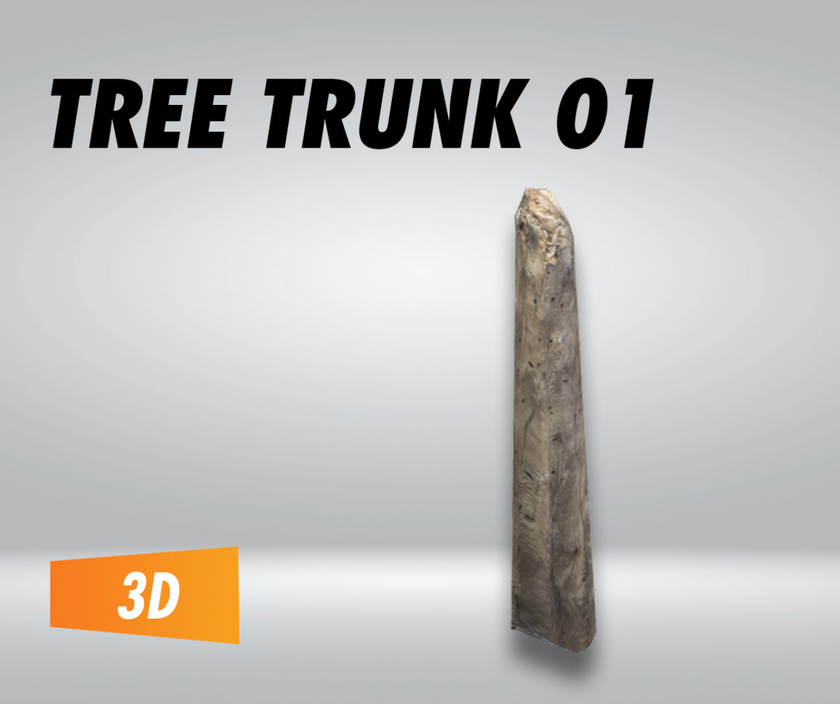 Tree Trunk 01 – Filebase for Unity