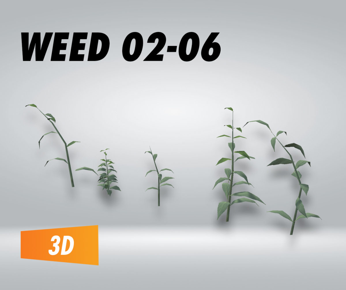 Weed 02-06 – Filebase for Unity