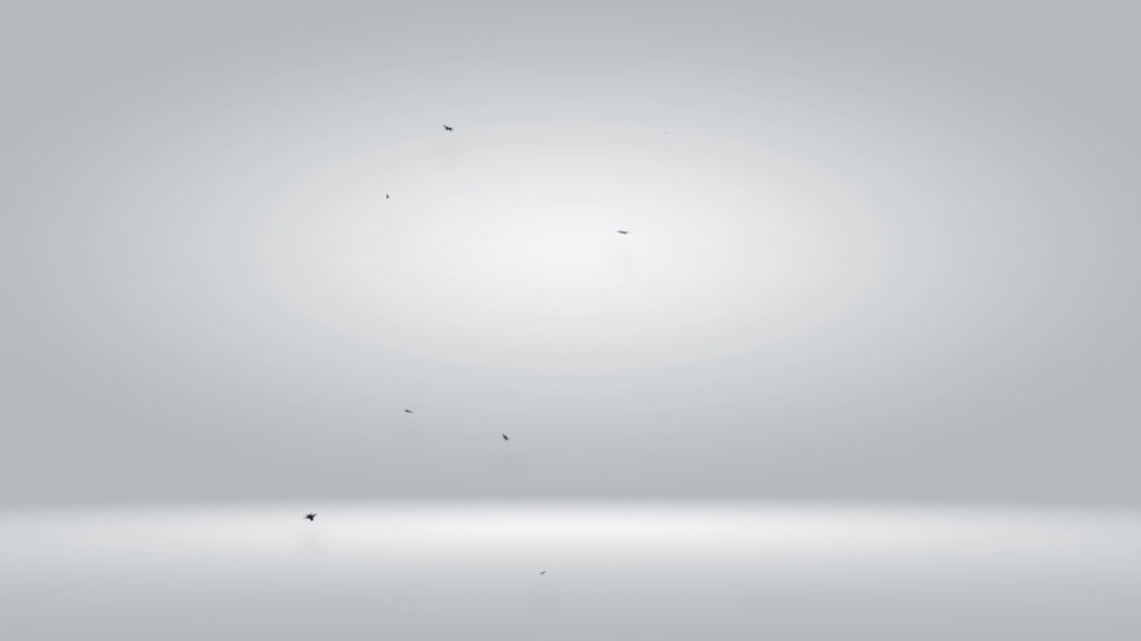 Flies 01 – Filebase for Unity