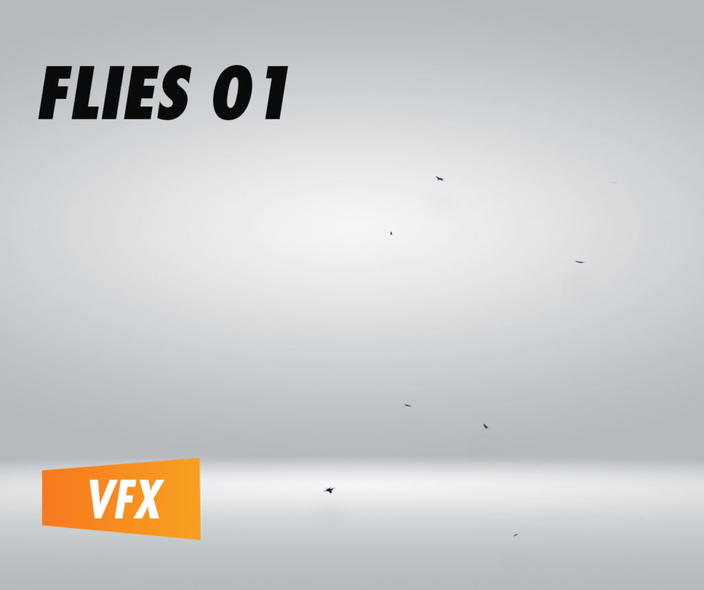 Flies 01 – Filebase for Unity