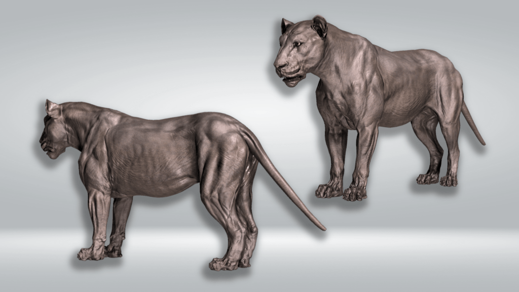 Lion 02 – Filebase for Unity