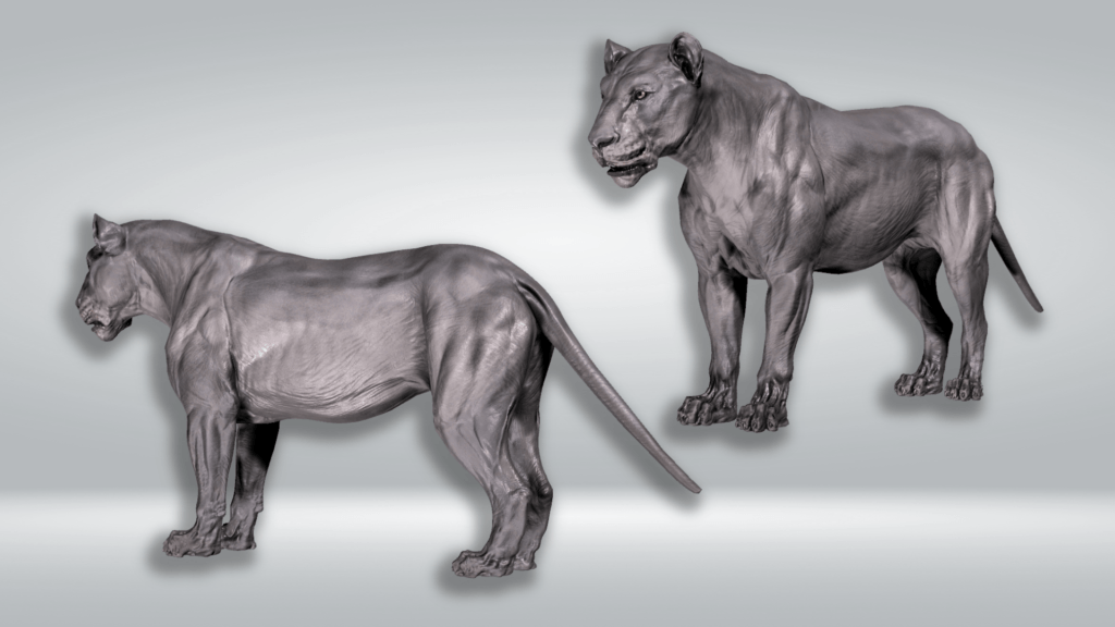 Lion 04 – Filebase for Unity