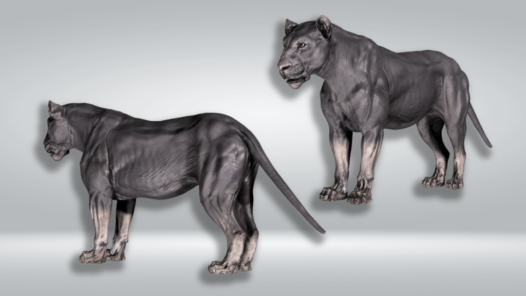 Lion 05 – Filebase for Unity