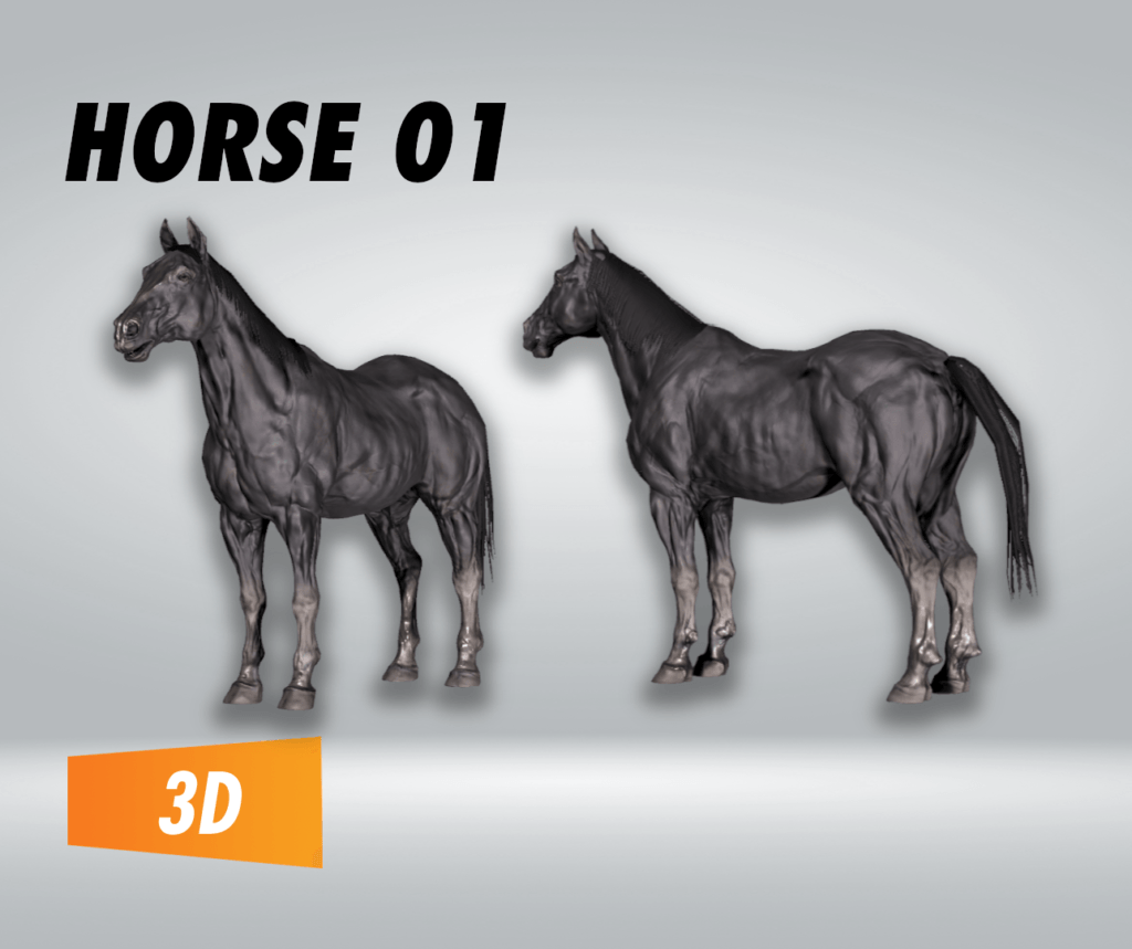 Horse 01 – Filebase for Unity