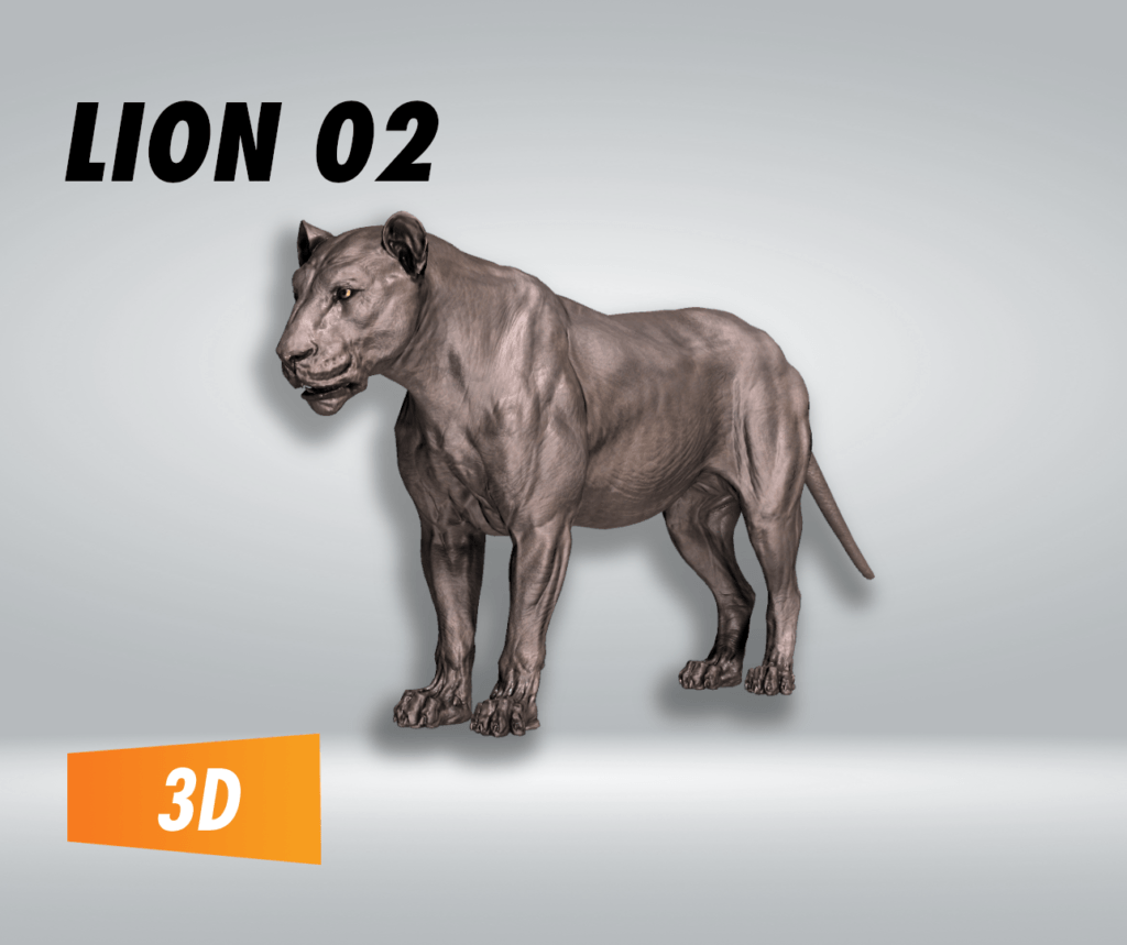 Lion 02 – Filebase for Unity