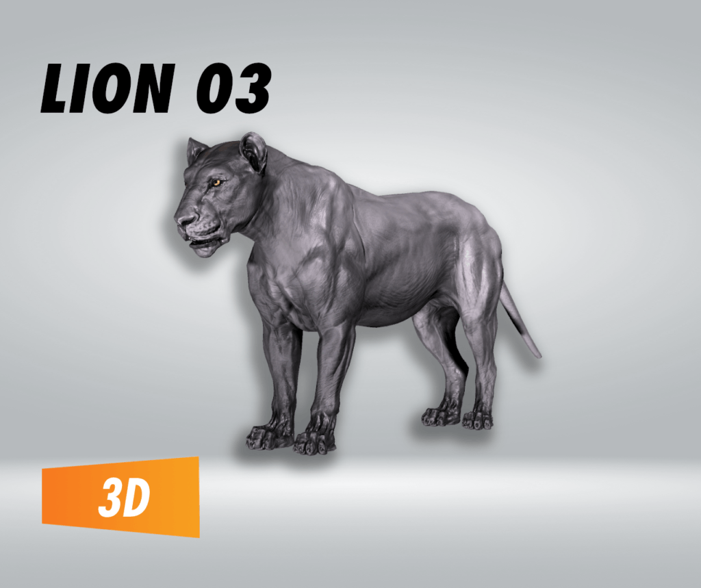 Lion 03 – Filebase for Unity
