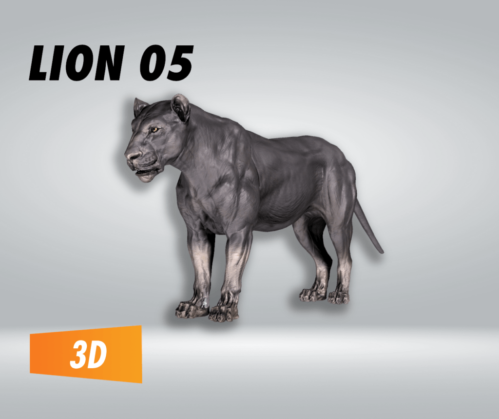 Lion 05 – Filebase for Unity