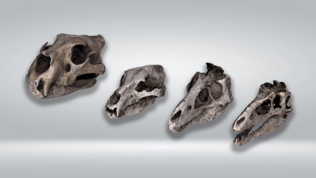 Bones Dinosaur Pack 01 – Filebase for Unity