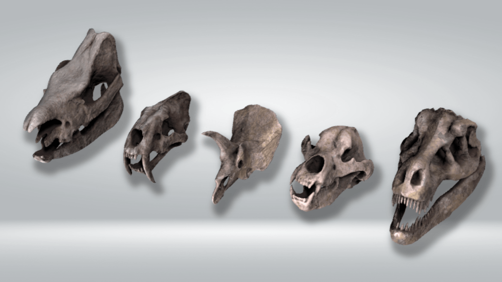 Bones Dinosaur Pack 02 – Filebase for Unity