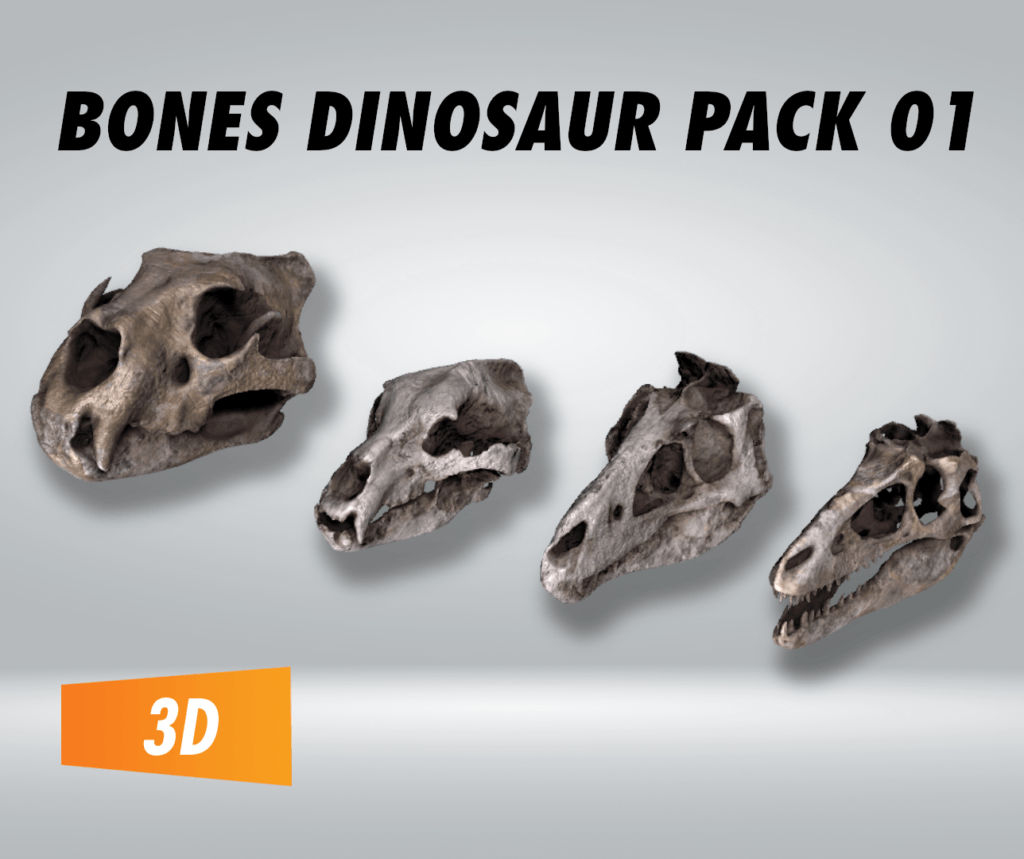 Bones Dinosaur Pack 01 – Filebase for Unity