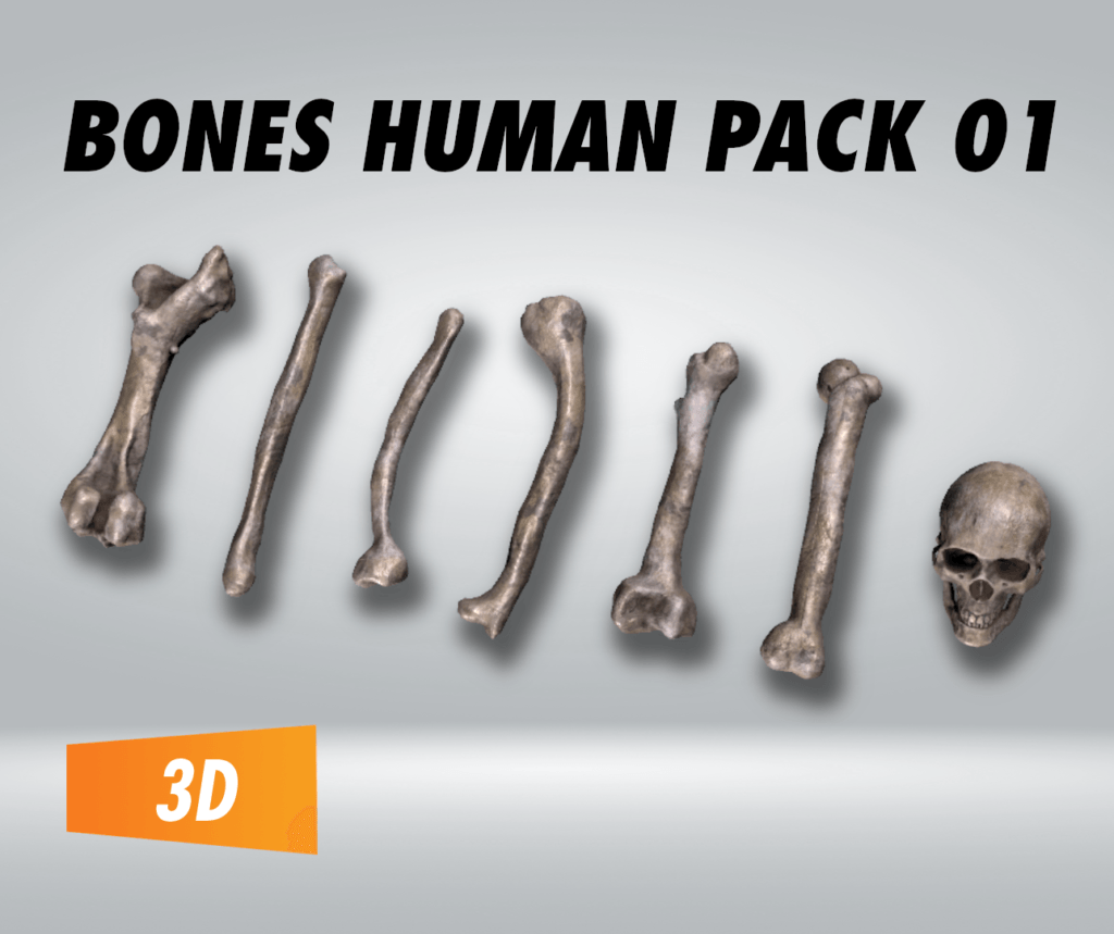 Bones Human Pack 01 – Filebase for Unity