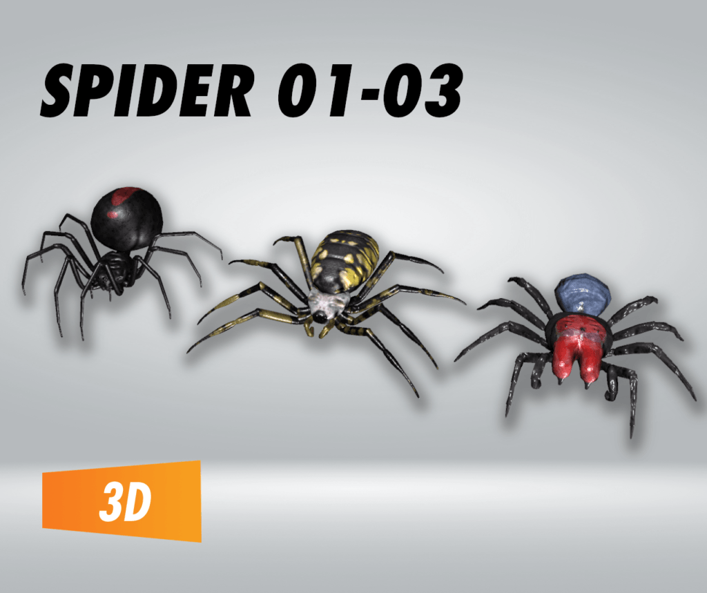 Spider 01 03 – Filebase for Unity