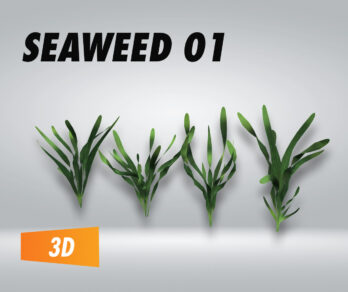 Seaweed 01 – Filebase for Unity