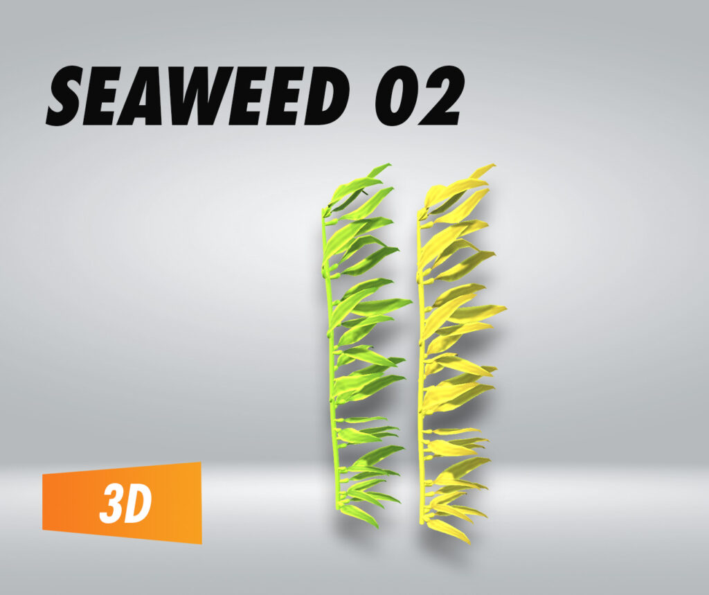 Seaweed 02 – Filebase for Unity