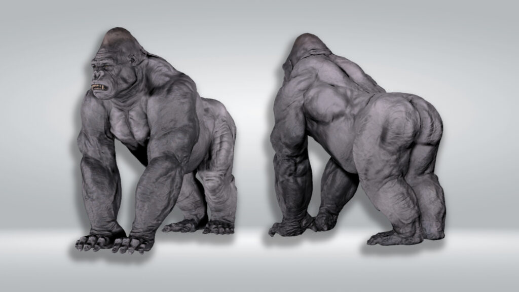 Gorilla 01 – Filebase for Unity