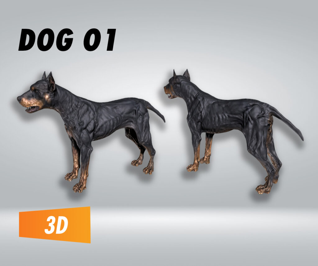 Dog 01 – Filebase for Unity