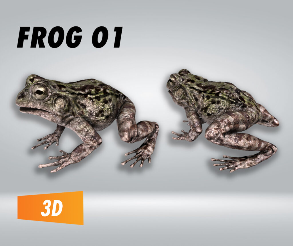 Frog 01 – Filebase for Unity