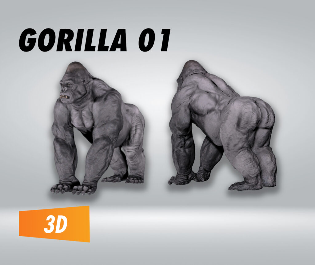 Gorilla 01 – Filebase for Unity