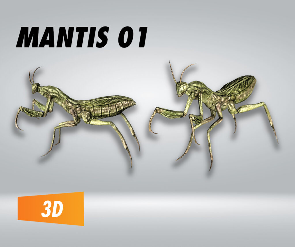 Mantis 01 – Filebase for Unity