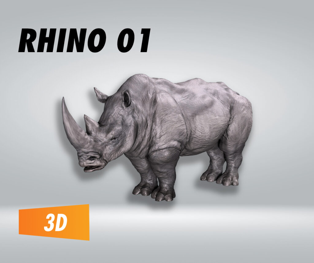 Rhino 01 – Filebase for Unity