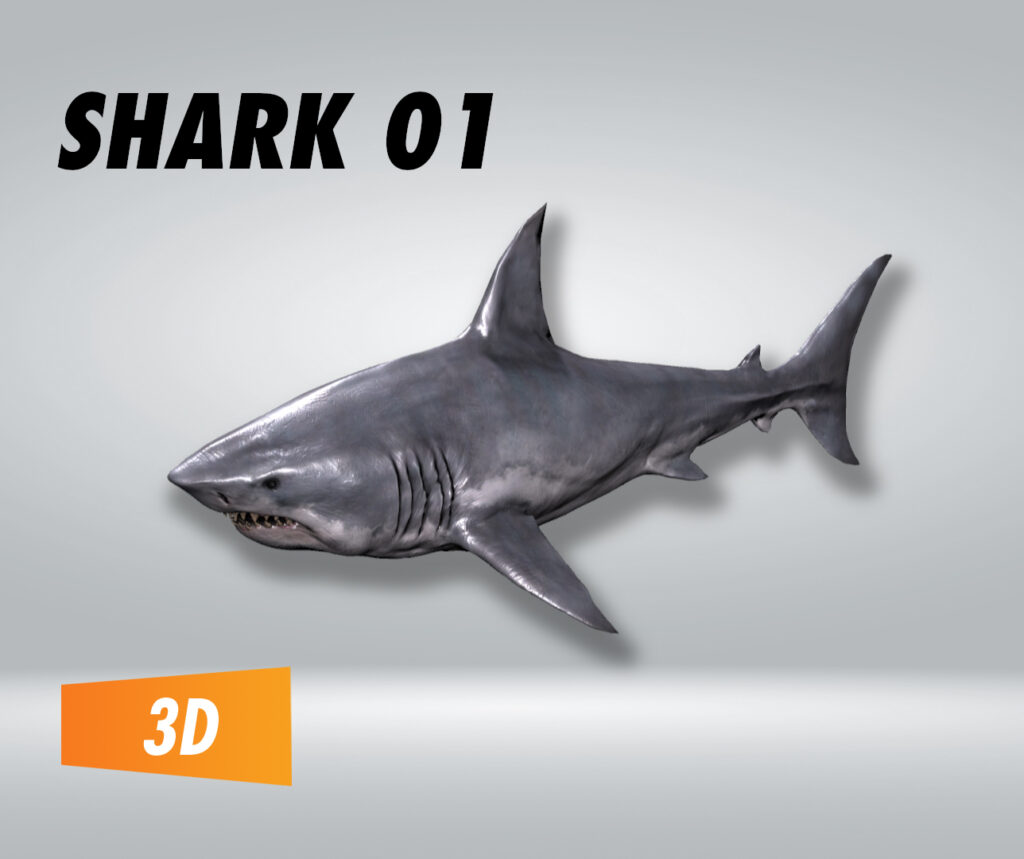 Shark 01 – Filebase for Unity